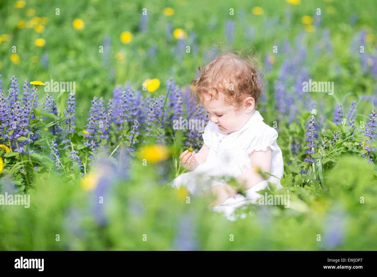 Cute little girl playing with flowers in a garden Stock Photo - Alamy