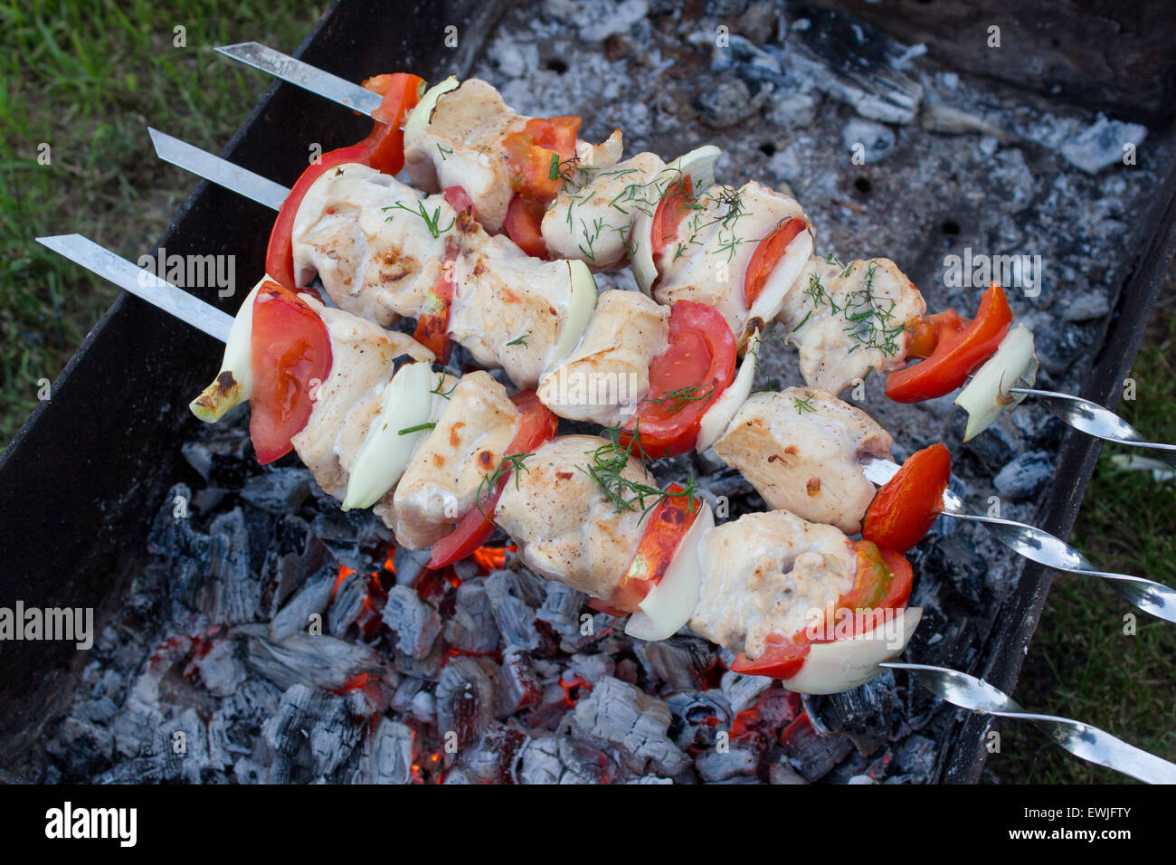 Indian chicken shashlik kebab hi-res stock photography and images - Alamy
