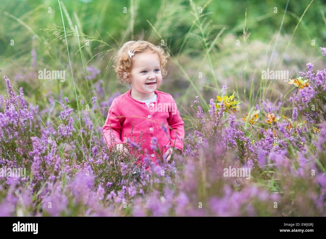 Adorable baby girl playing with purple flowers in a heather landscape ...