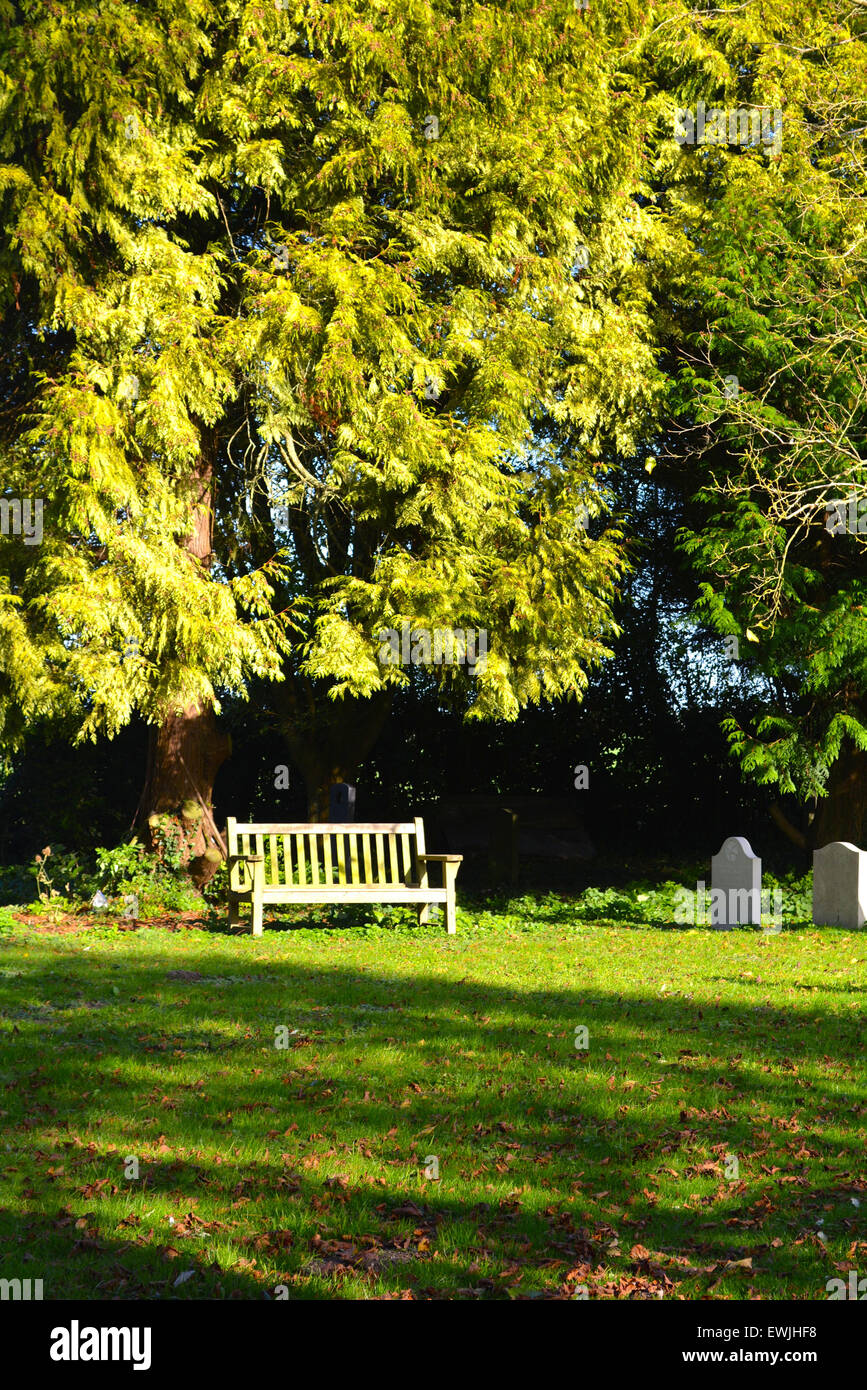 St Mary The Virgin church in the village of Burpham, West Sussex Stock ...
