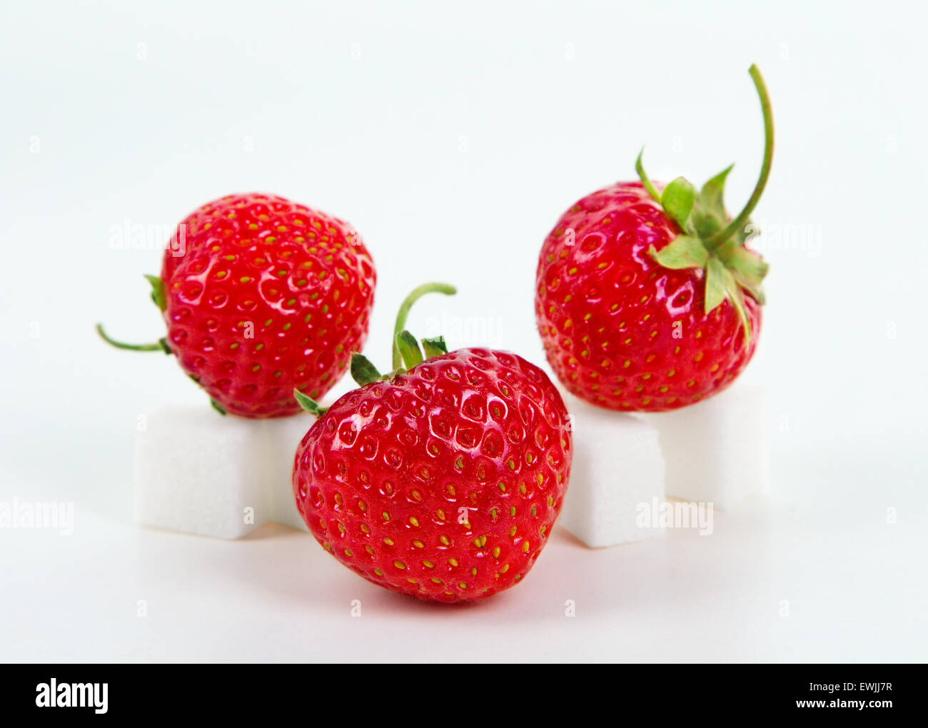 Fresh sweet strawberry on sugar cube Stock Photo - Alamy