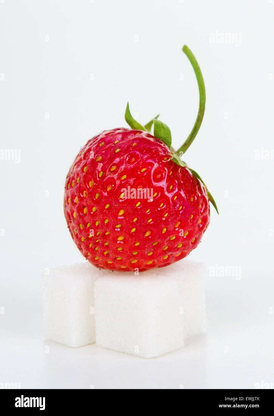 Fresh sweet strawberry on sugar cube Stock Photo - Alamy
