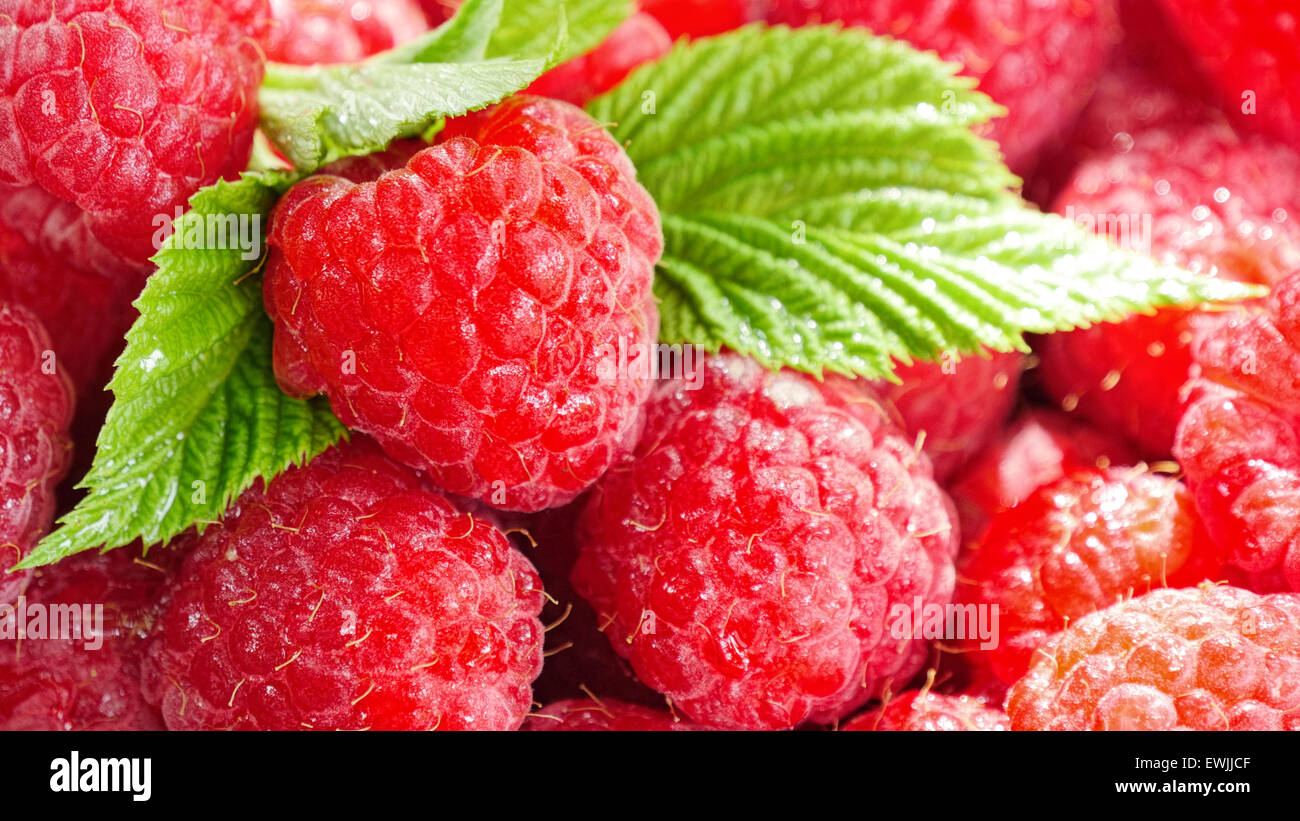 Raspberry berry close-up as a background Stock Photo - Alamy