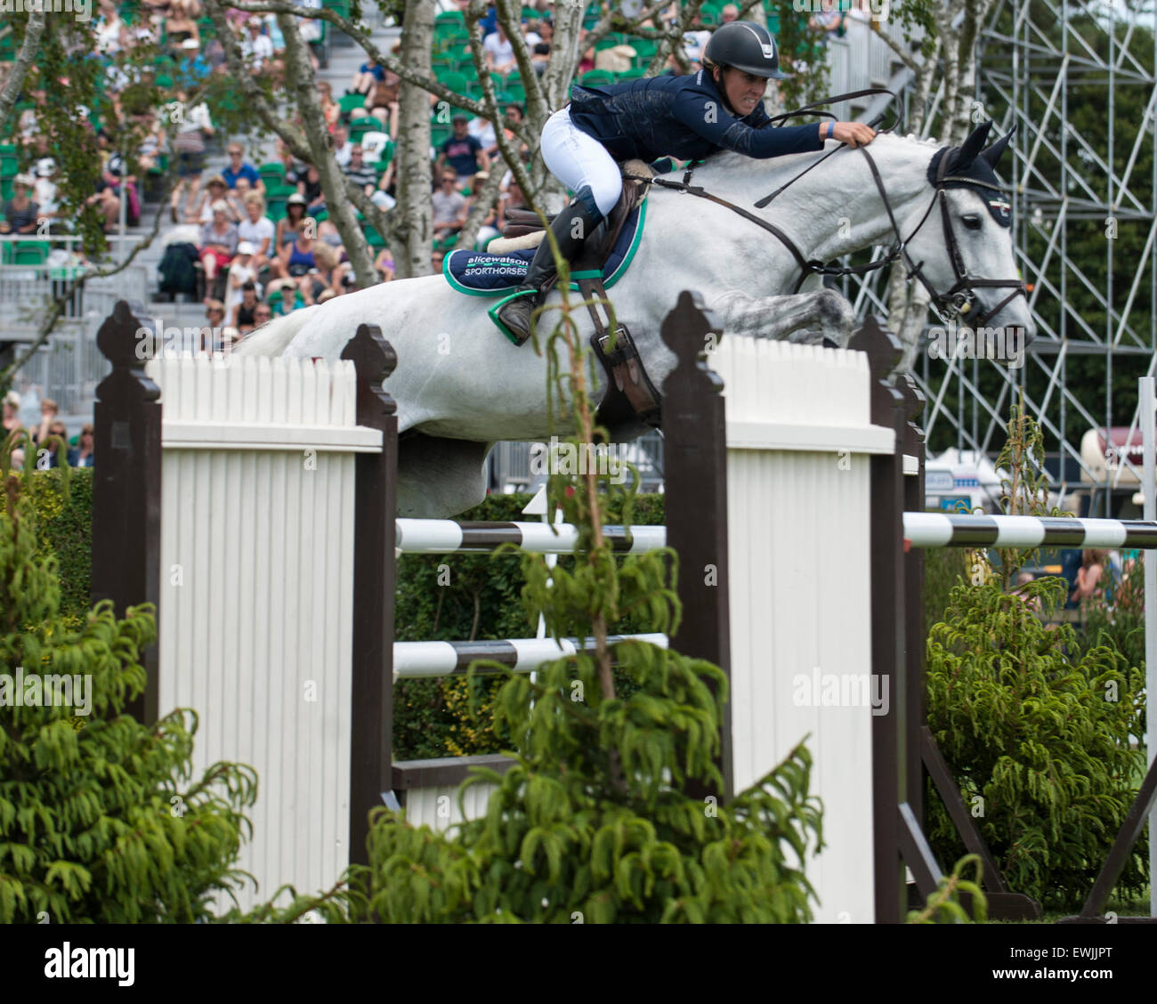 Clears the last fence to win hi-res stock photography and images - Alamy