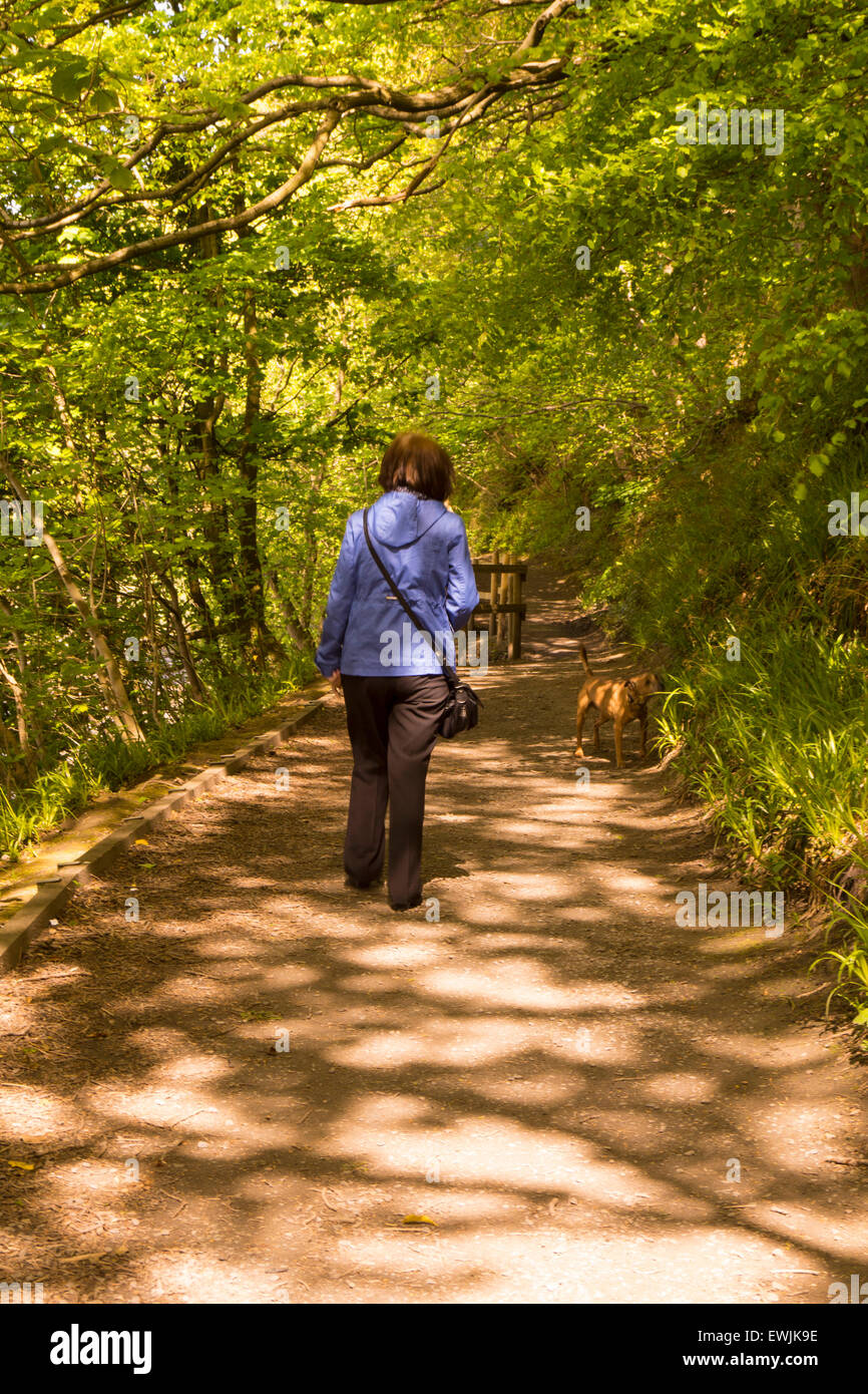 Walking across branches hi-res stock photography and images - Alamy