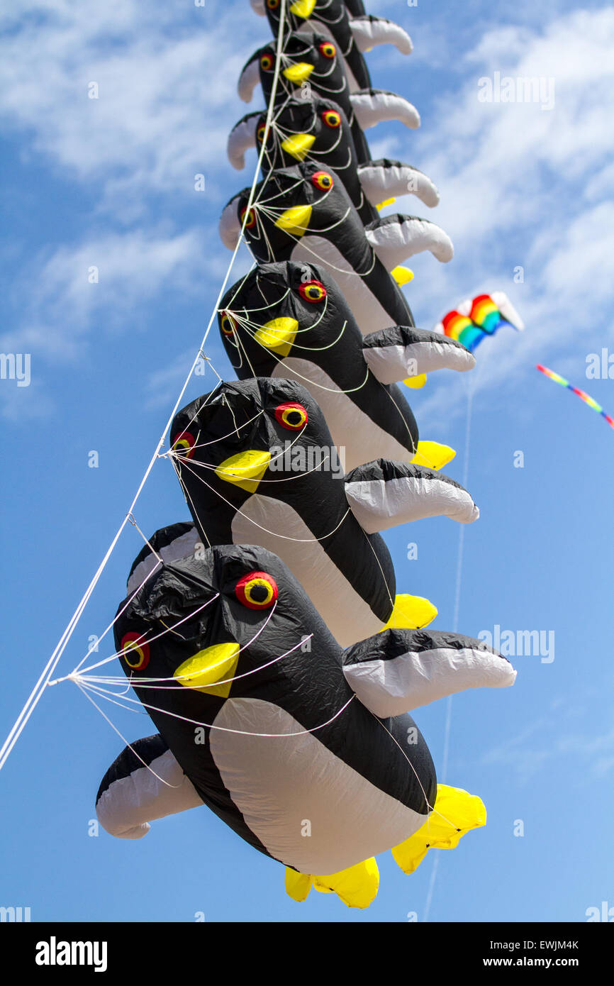 Several kites with tails hi-res stock photography and images - Alamy