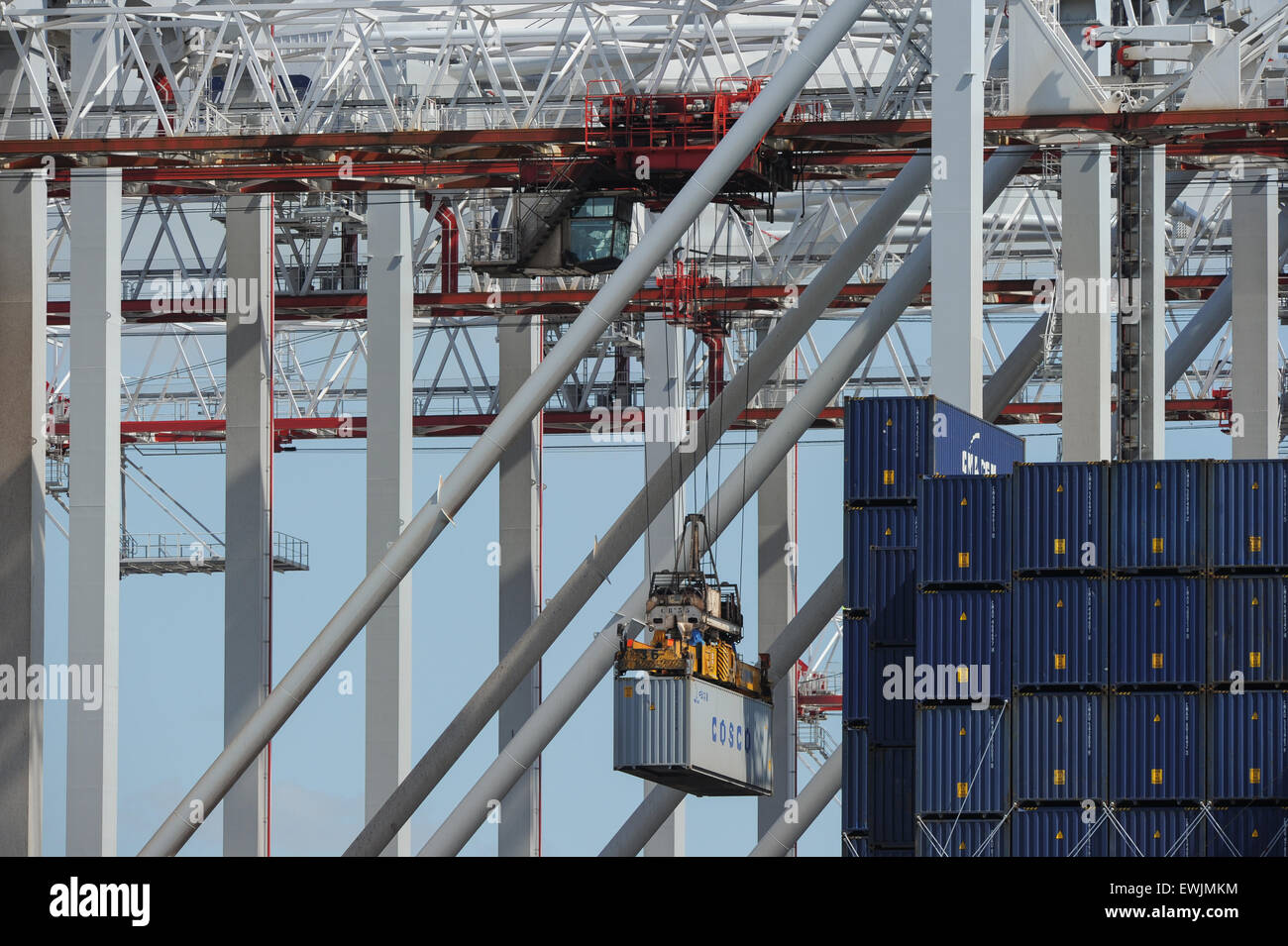 Container off loading at DP world port of Southampton Stock Photo - Alamy