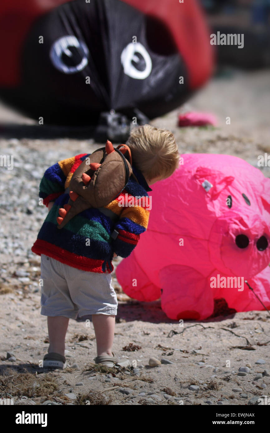 Piglets playing toy hi-res stock photography and images - Alamy