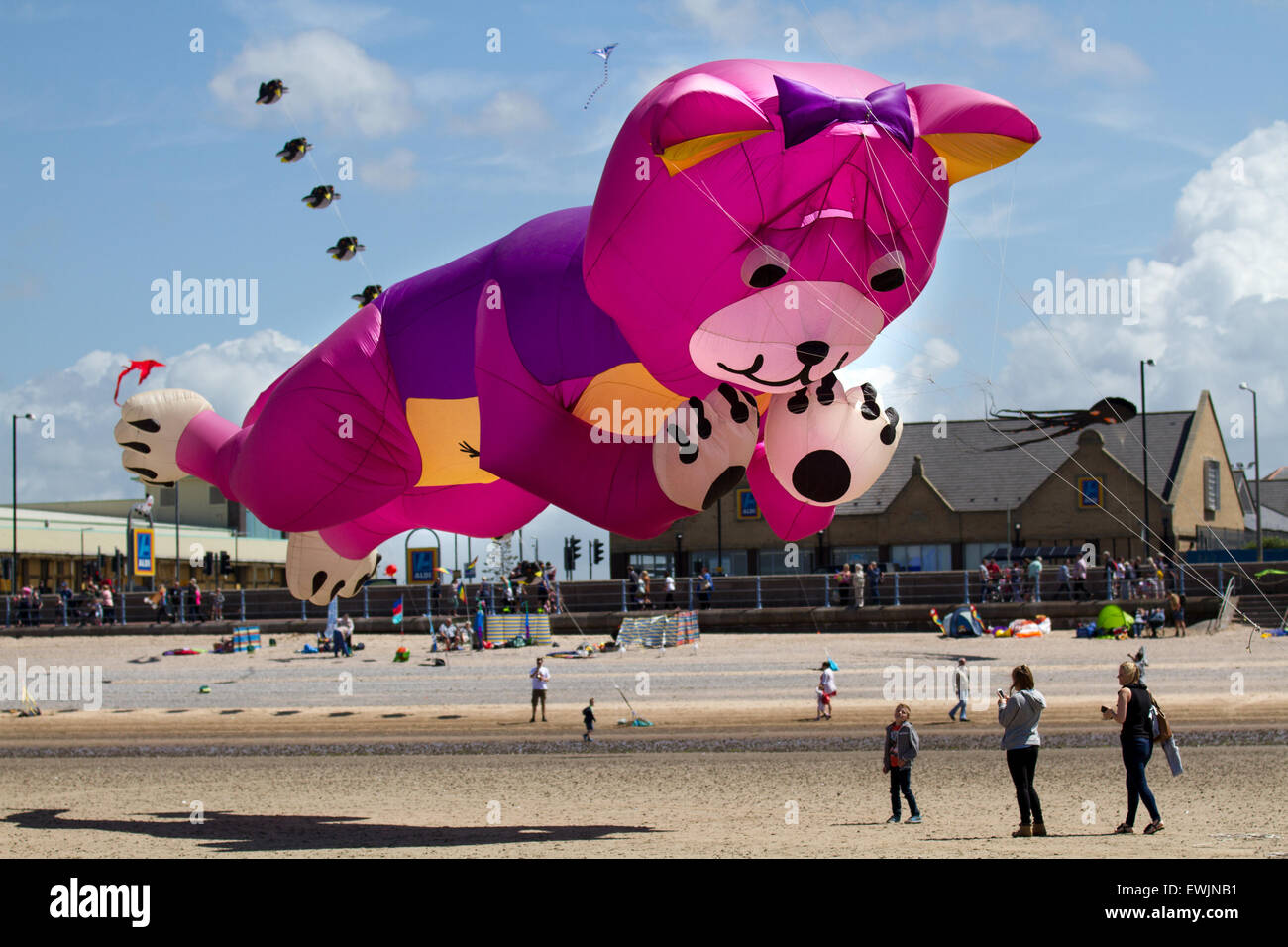 Cartoon teddy bear pink hi-res stock photography and images - Alamy