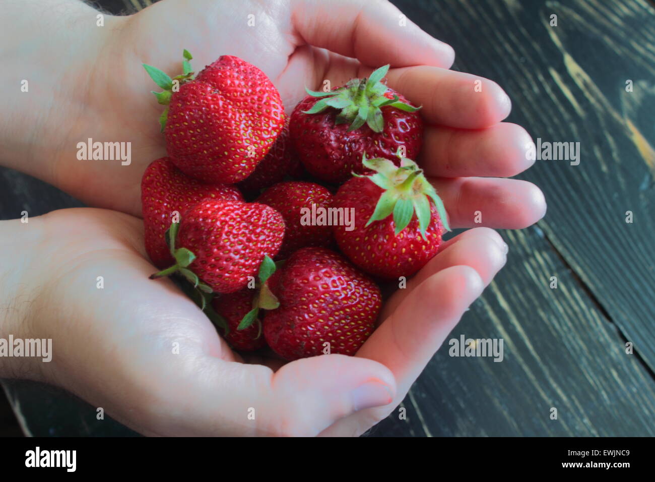 offering in the hands of sweet strawberries Stock Photo - Alamy