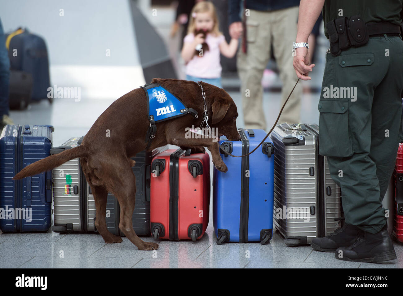 Customs tracking dog hi-res stock photography and images - Alamy