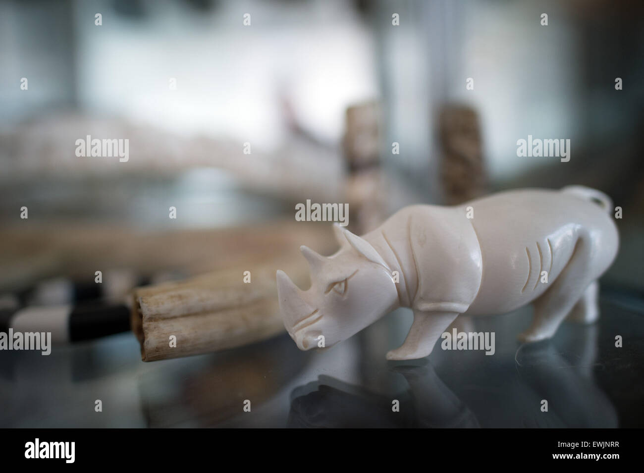 Customs tracking dog hi-res stock photography and images - Alamy