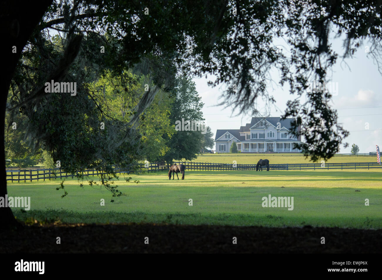 Paddock country hi-res stock photography and images - Alamy