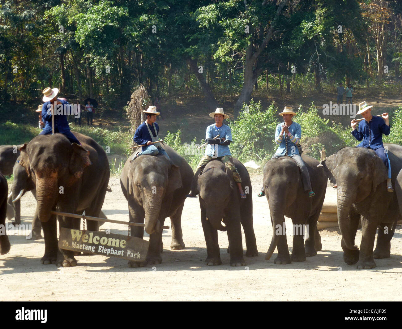 Chiang Mai, Thailand. 27th Feb, 2015. Mahuts (elephant riders) go to a ...