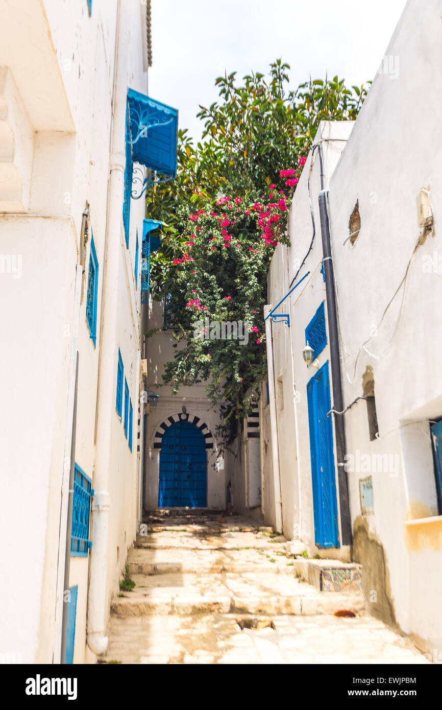 Sidi Bou Said - typical building with white walls, blue doors and ...