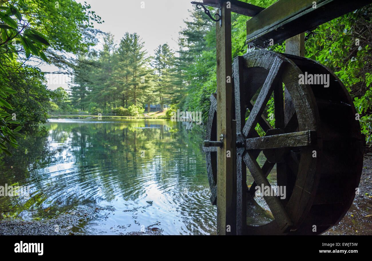 Reflecting hi-res stock photography and images - Alamy