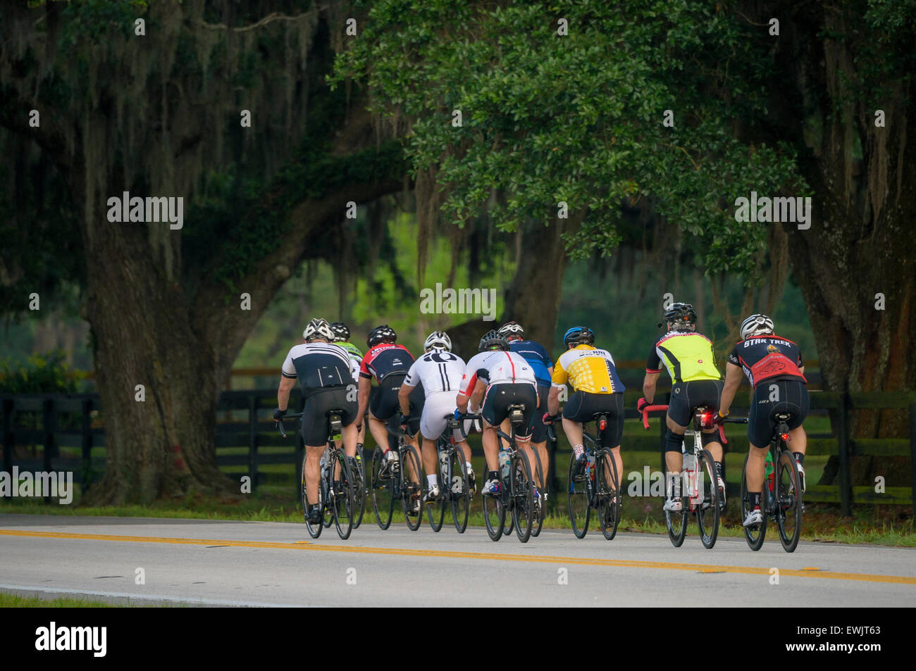 Recreational cyclist group riding country road, Ocala, FL Stock Photo ...
