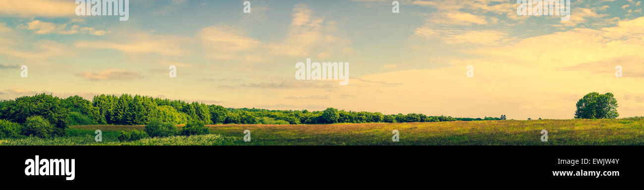 Panorama landscape of a prairie with green trees Stock Photo - Alamy
