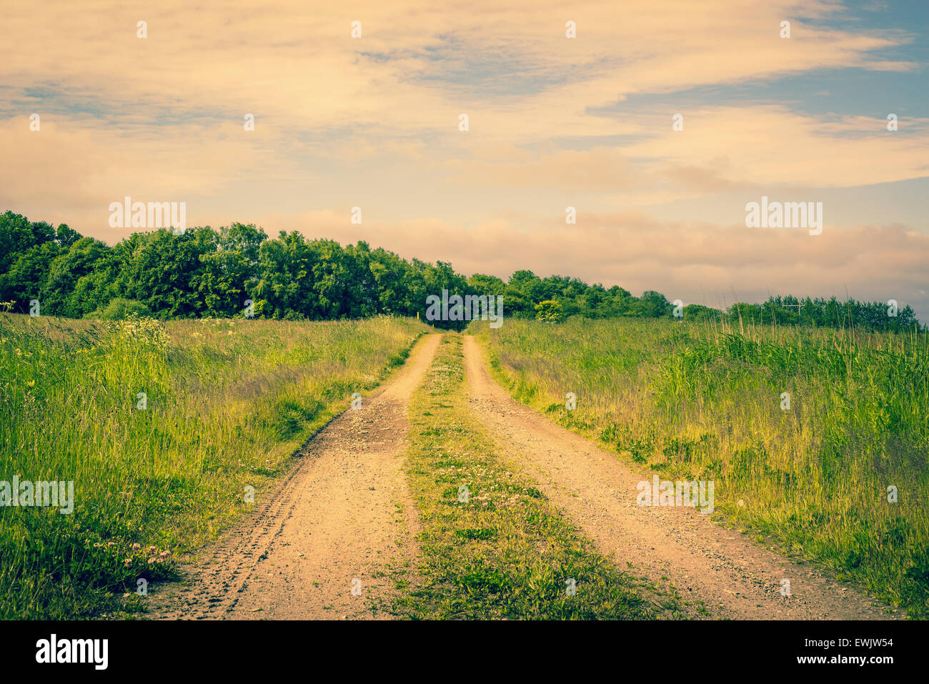 Meadow path denmark hi-res stock photography and images - Alamy