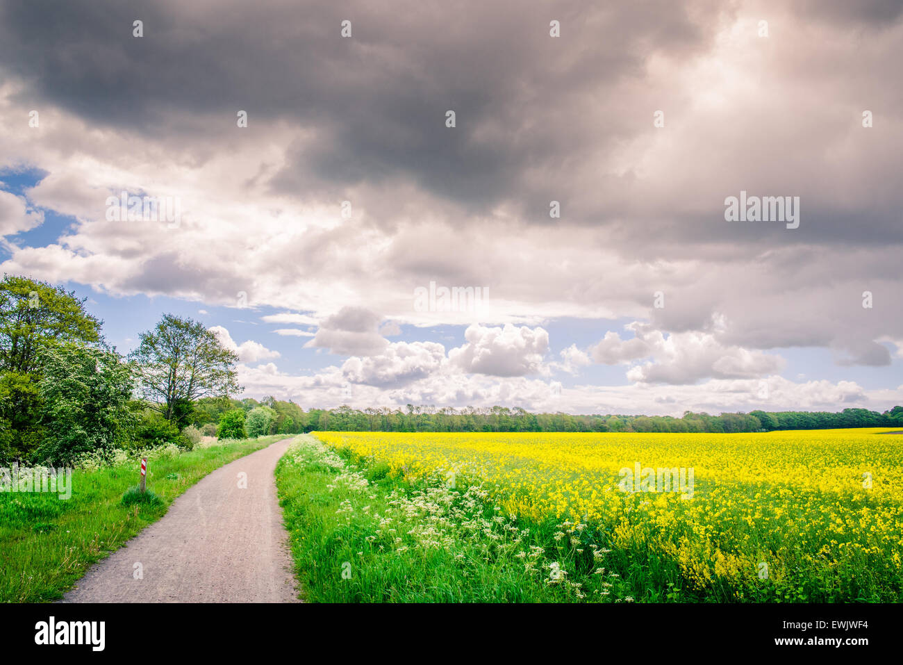 Countryside landscape with a path and dark clouds Stock Photo - Alamy