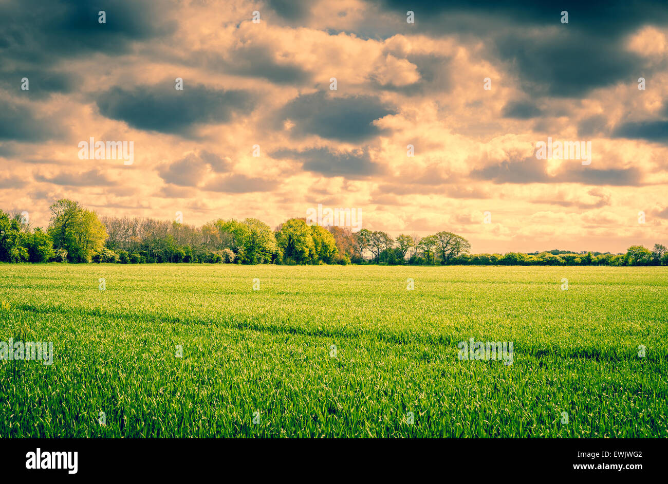 Countryside landscape with dark clouds over a field Stock Photo - Alamy