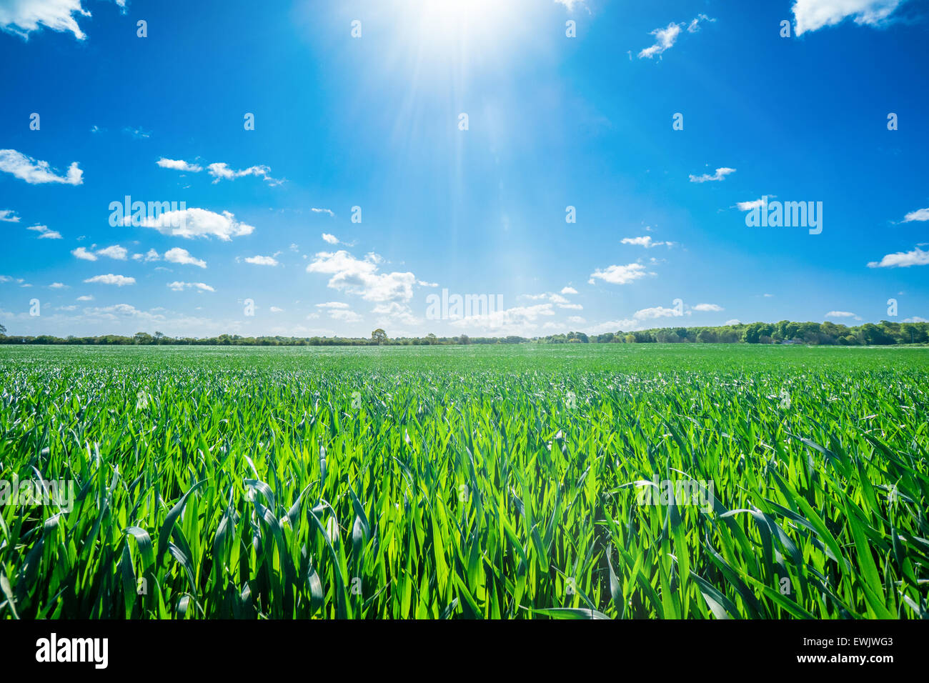 Countryside landscape with sunny weather Stock Photo - Alamy