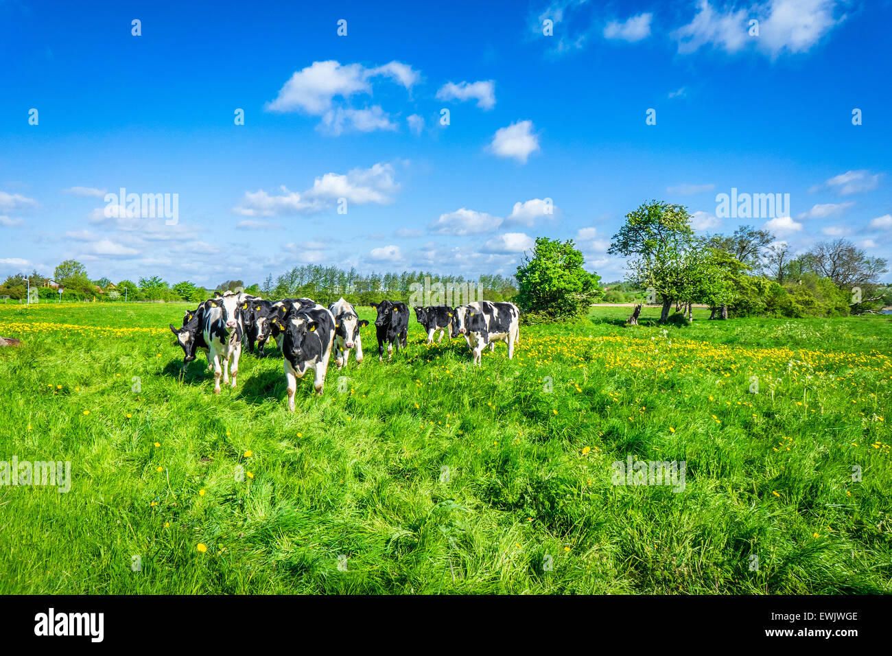 High Resolution Farm Photo High Resolution Stock Photography and Images ...