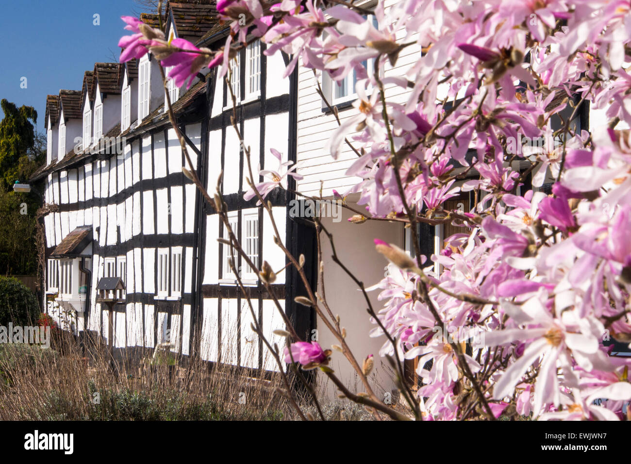 An ancient medieval Tudor timber framed house in Dilwyn, Herefordshire ...