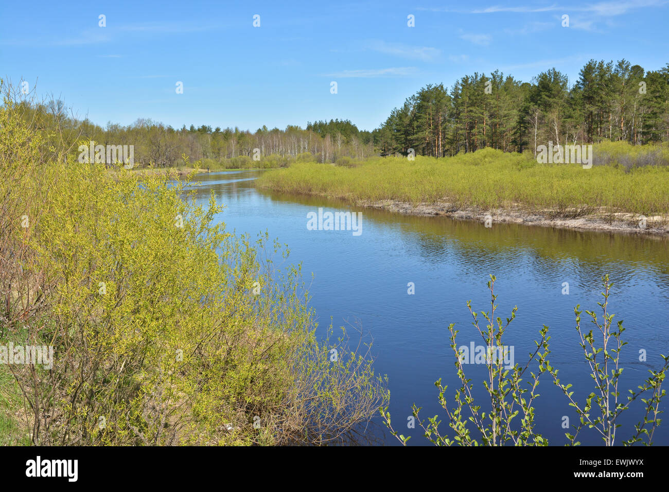 May on the forest river. Spring river landscape in the national Park of ...