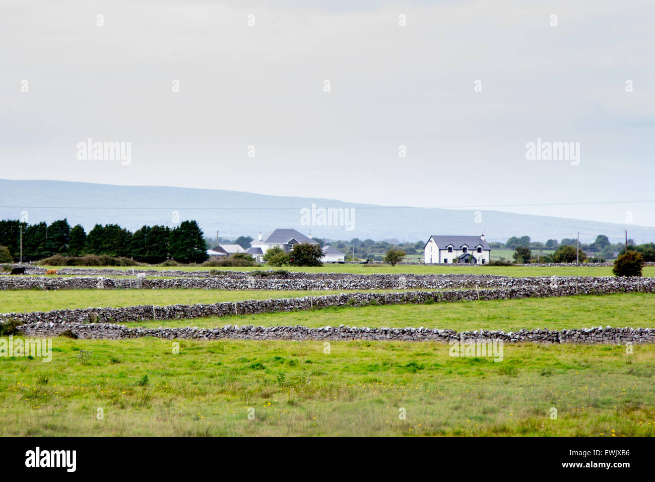 Houses and fields in Ireland Stock Photo - Alamy