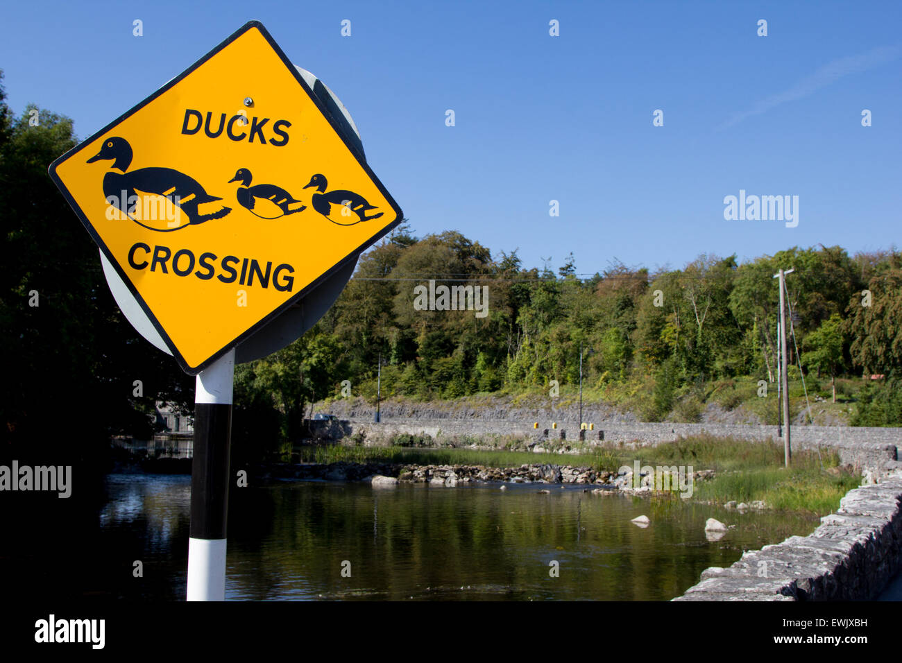 Ducks crossing sign in Cong, Ireland Stock Photo - Alamy