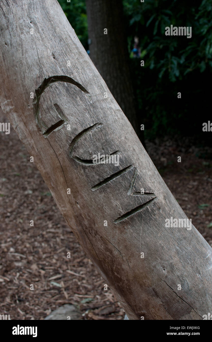 Word tree hi-res stock photography and images - Alamy