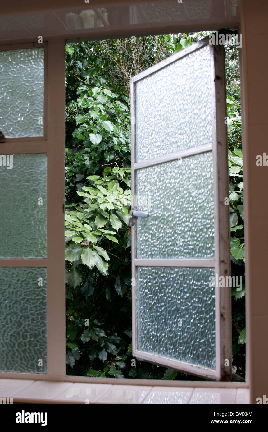 window looking onto trees Kew Gardens Stock Photo - Alamy