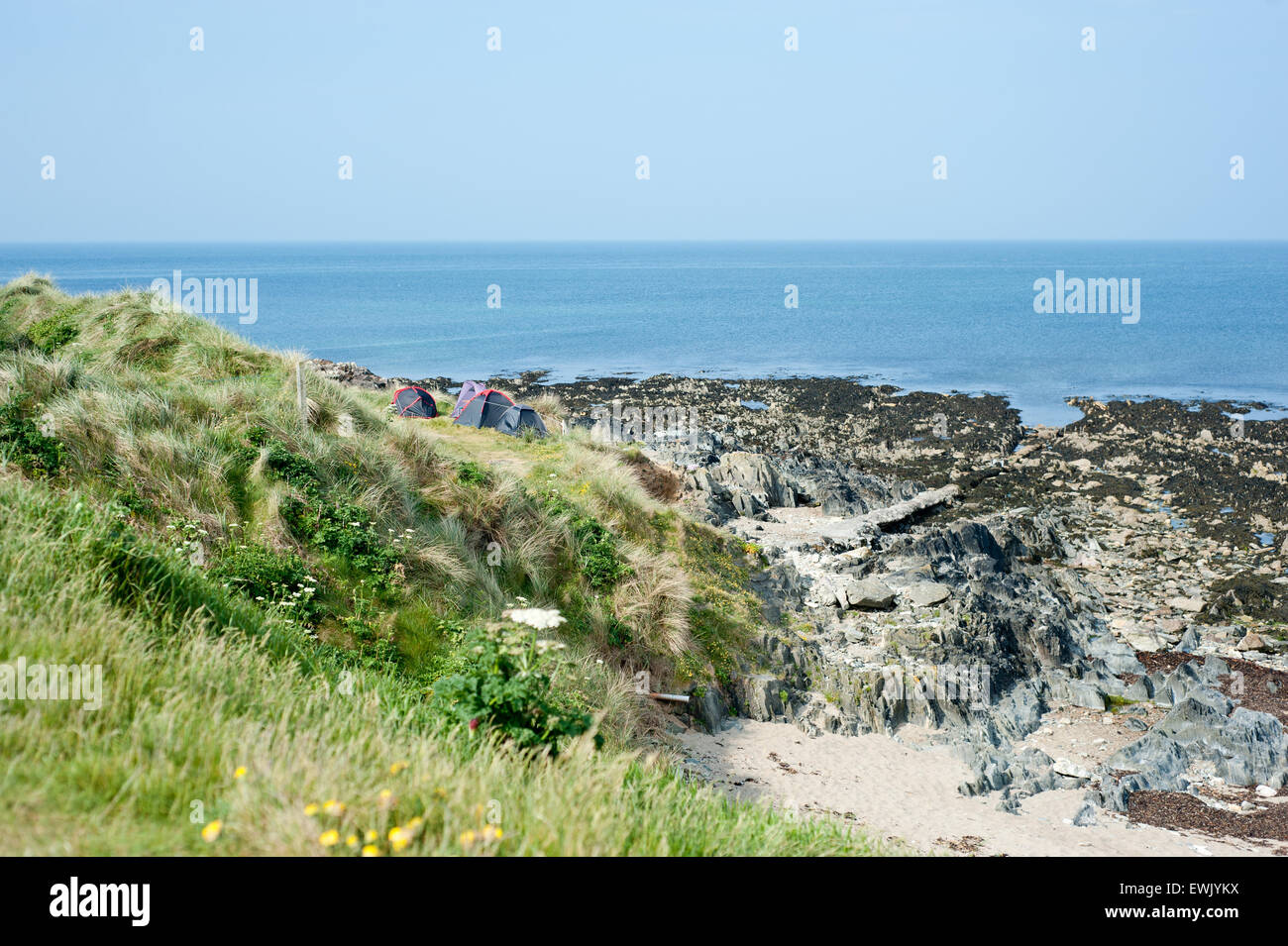 Kilmore Quay coastline, Co. Wexford, Ireland Stock Photo - Alamy