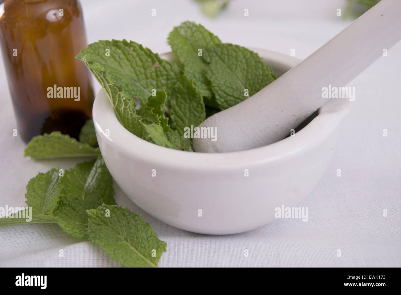 mortal and pestle grinding mint leaves Stock Photo - Alamy