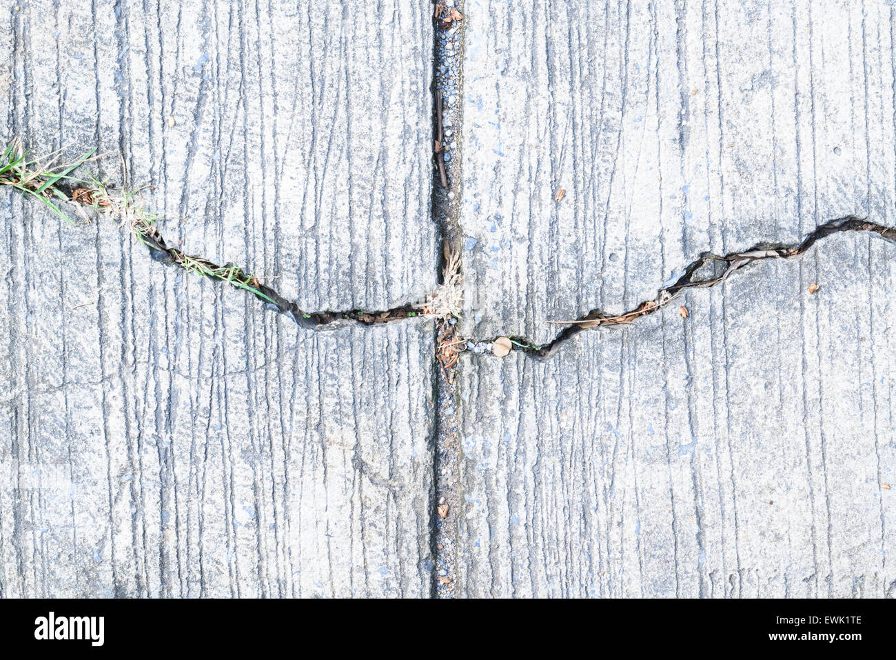 Tree growing on crack concrete hi-res stock photography and images - Alamy