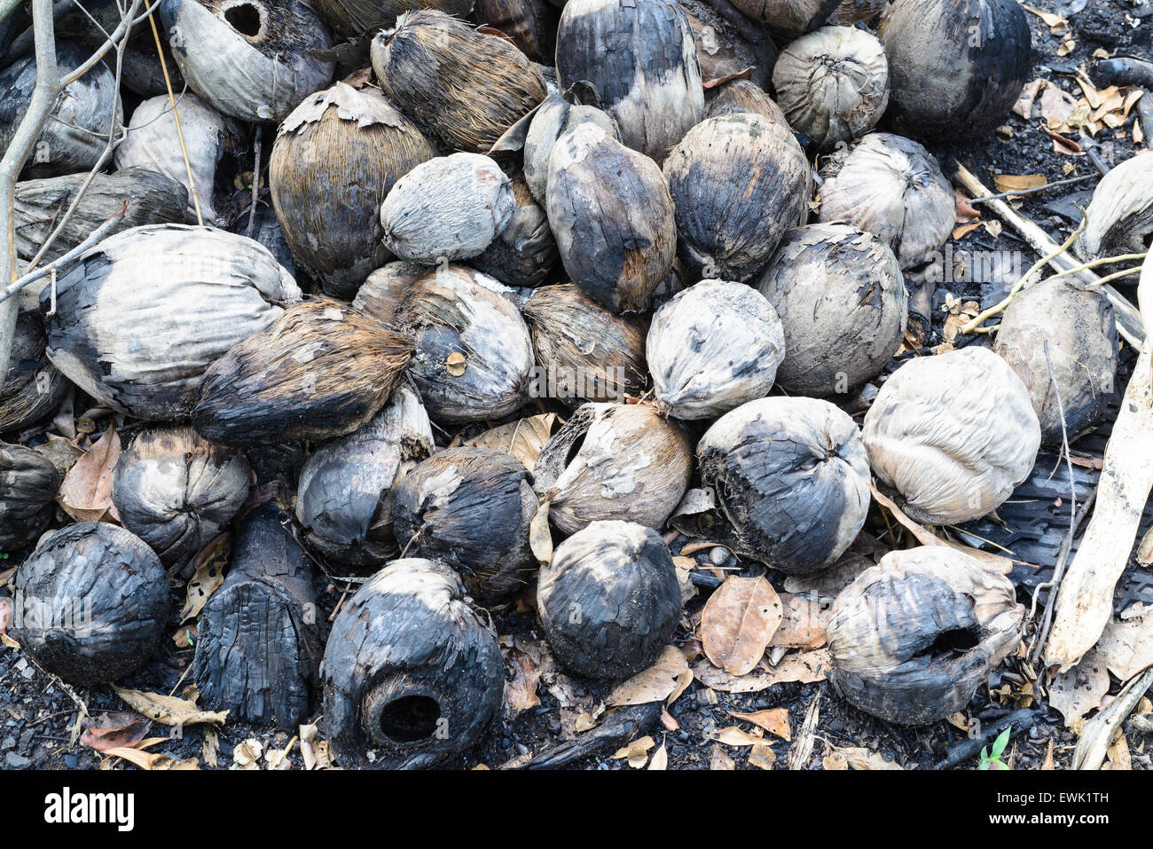 Burnt coconut hi-res stock photography and images - Alamy
