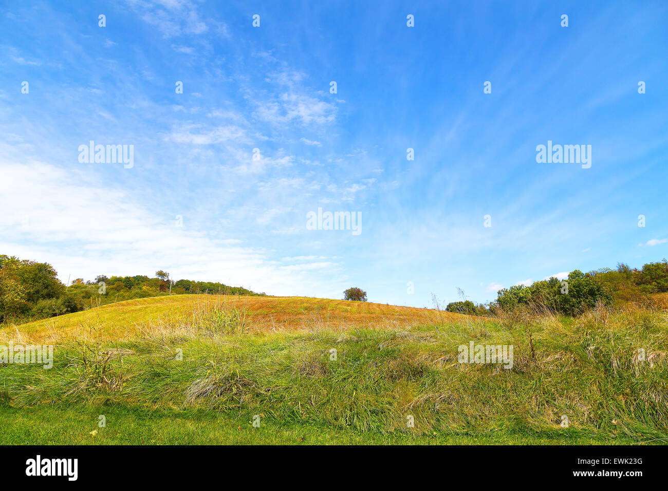 Countryside landscape in summer Stock Photo - Alamy