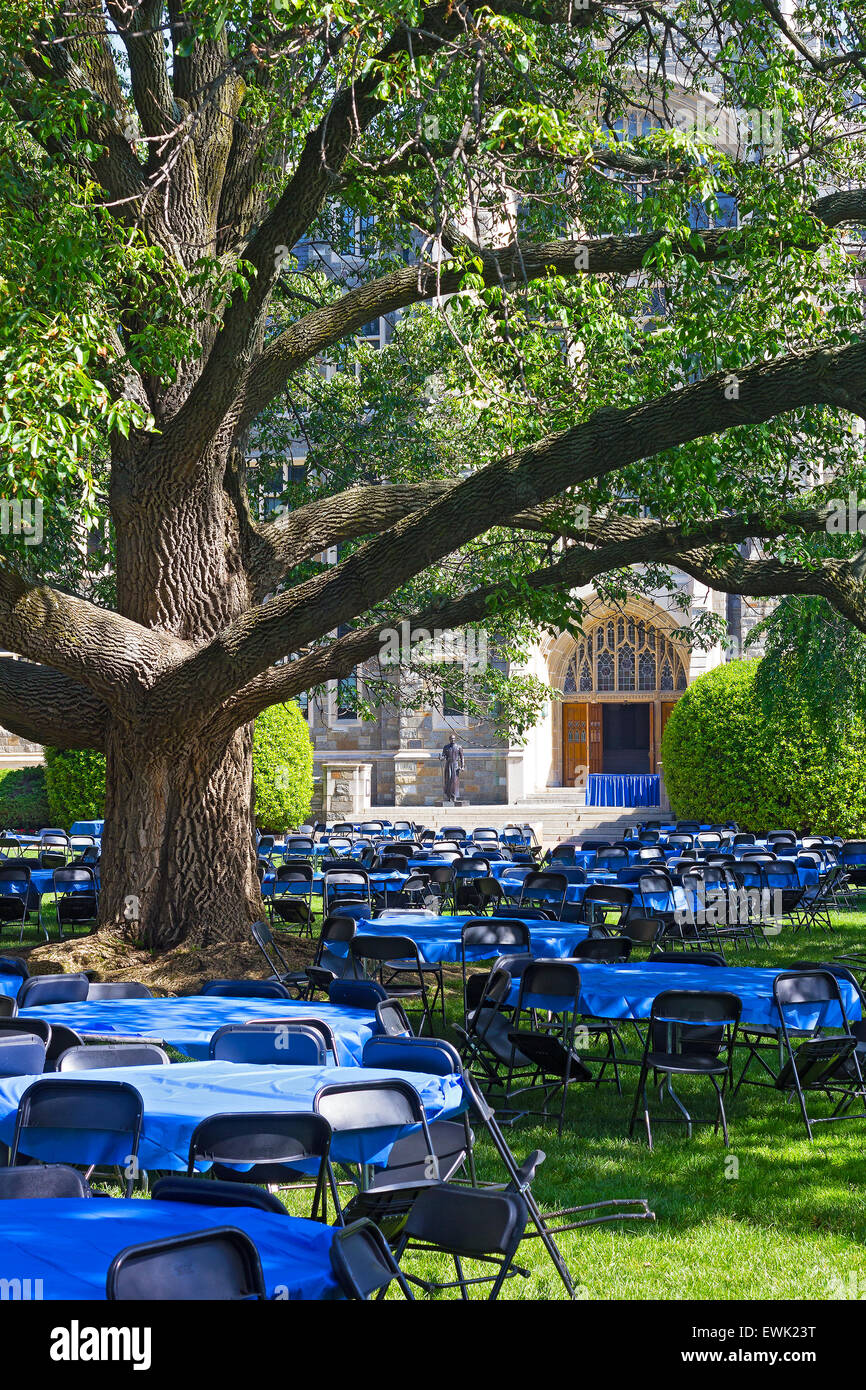 Gravenor High Resolution Stock Photography and Images - Alamy