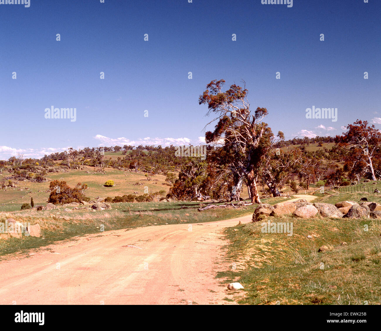 Country road australia hi-res stock photography and images - Alamy