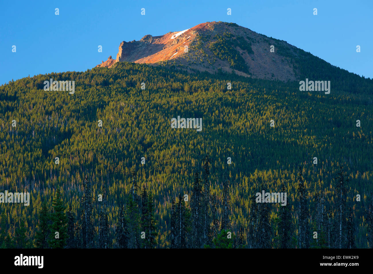 Olallie Butte, Olallie Lake Scenic Area, Mt Hood National Forest ...