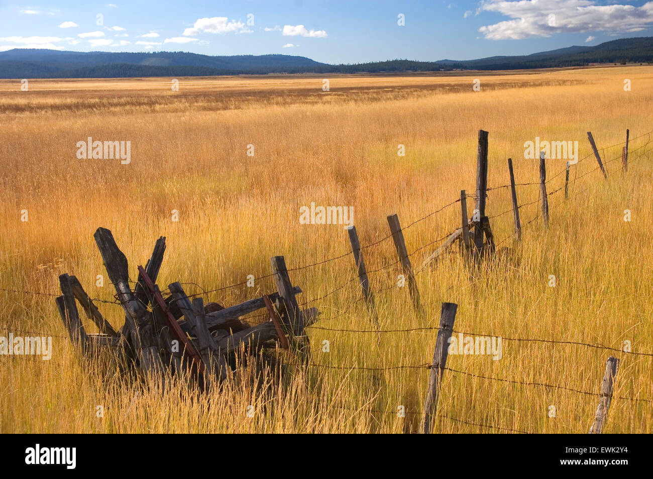 Logan Valley fence, Malheur National Forest, Oregon Stock Photo - Alamy
