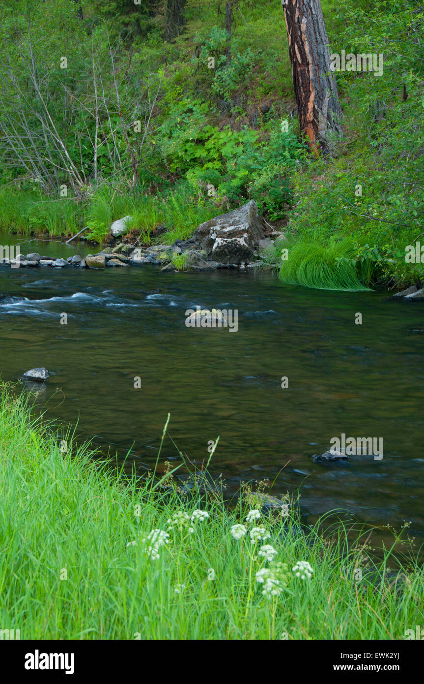 Malheur national forest hi-res stock photography and images - Alamy