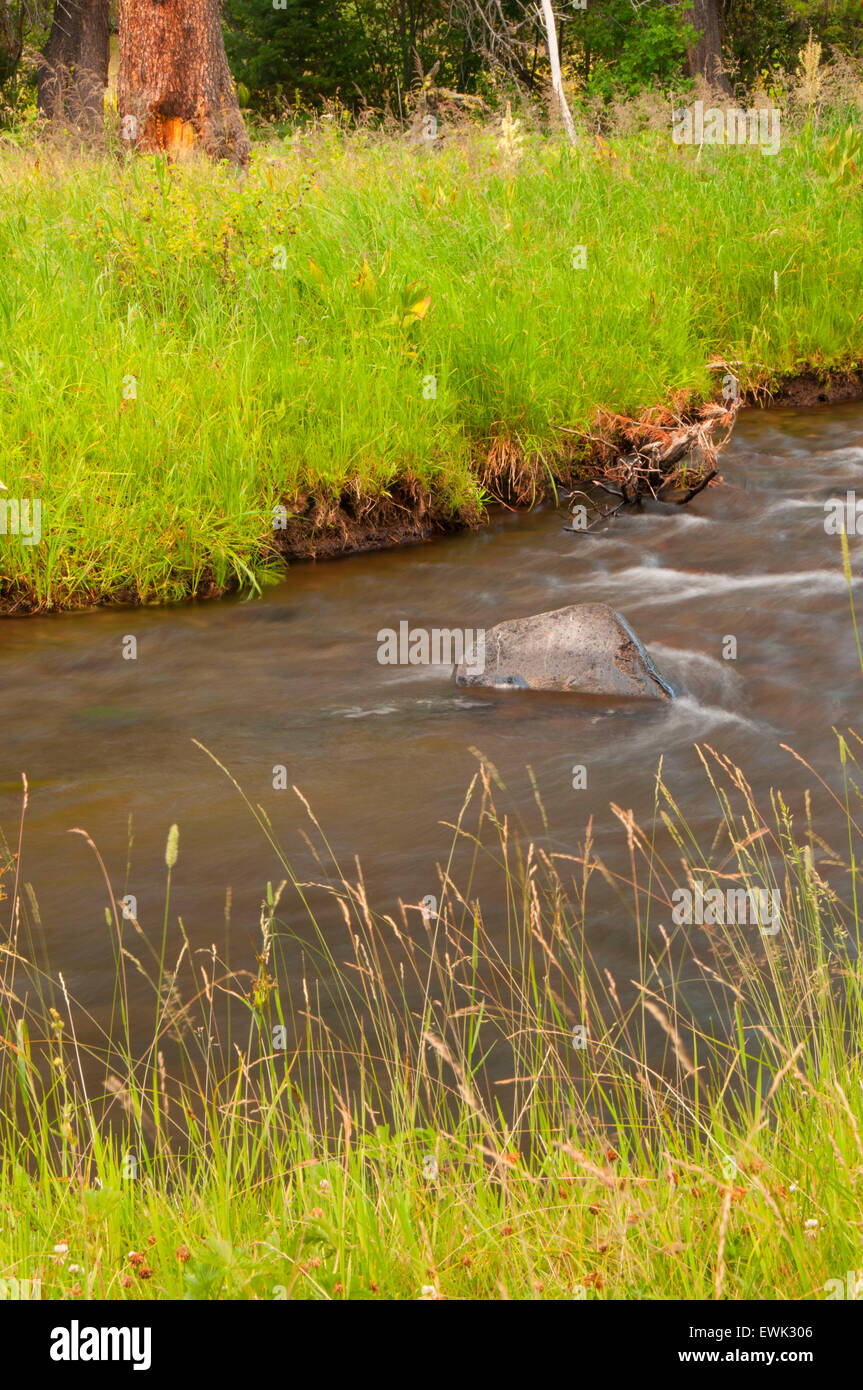 North Fork Malheur Wild and Scenic River, Malheur National Forest ...