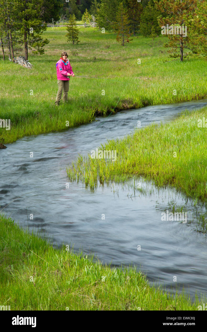 Flyfishing at Summit Creek, Malheur National Forest, Oregon Stock Photo ...