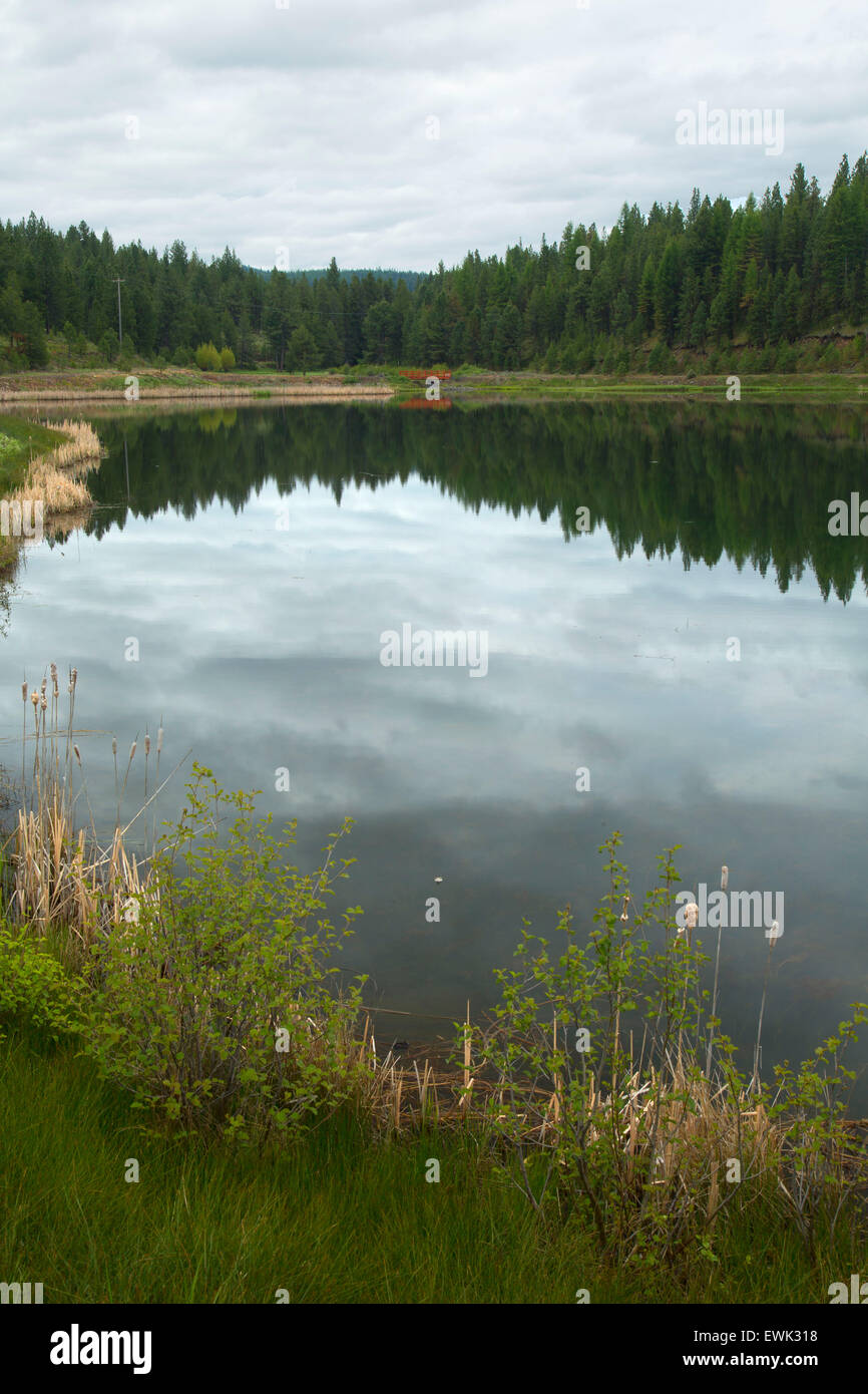 Bates Pond, Bates State Park, Oregon Stock Photo - Alamy