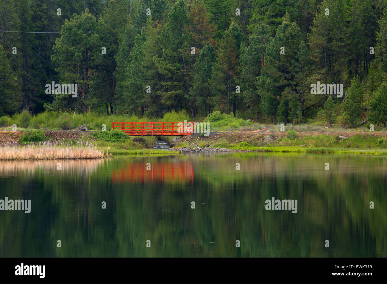 Bates Pond, Bates State Park, Oregon Stock Photo - Alamy