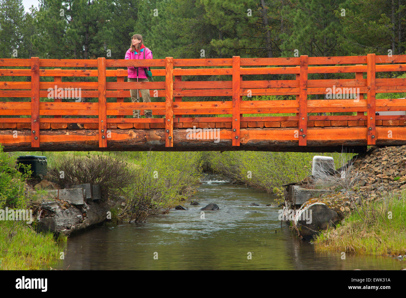 Trail bridge, Bates State Park, Oregon Stock Photo - Alamy