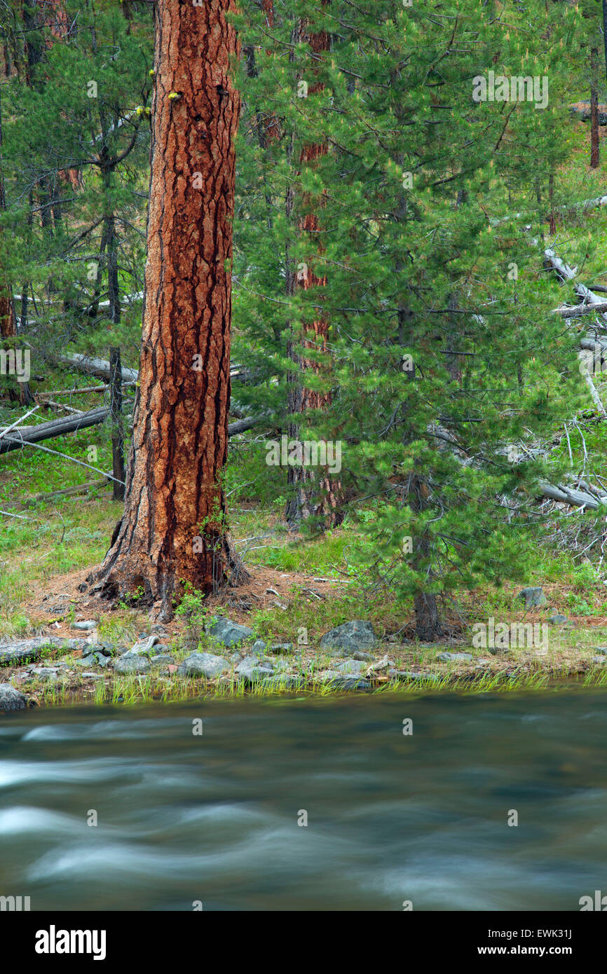 Malheur wild and scenic river hi-res stock photography and images - Alamy