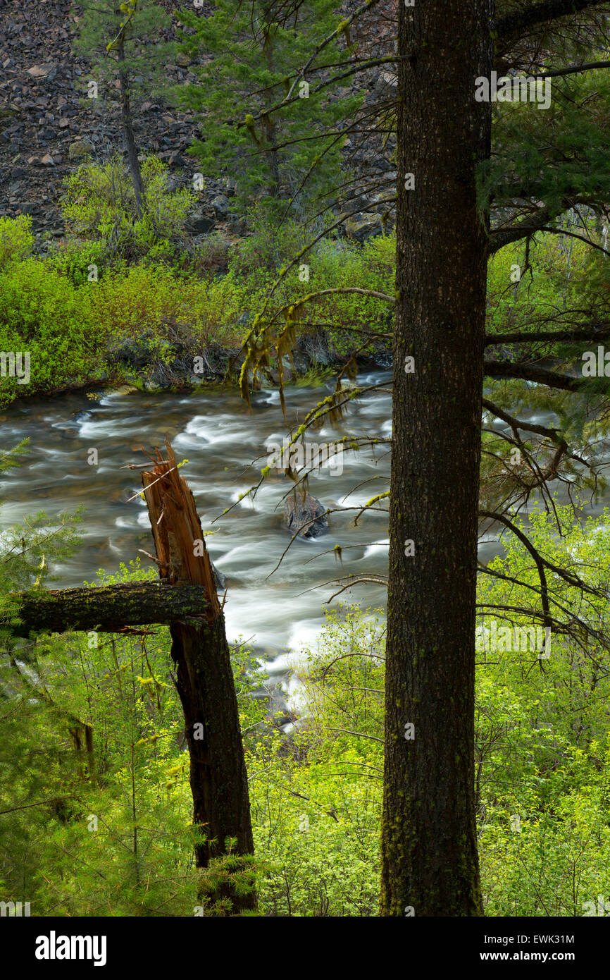 Malheur Wild and Scenic River, Malheur National Forest, Oregon Stock ...